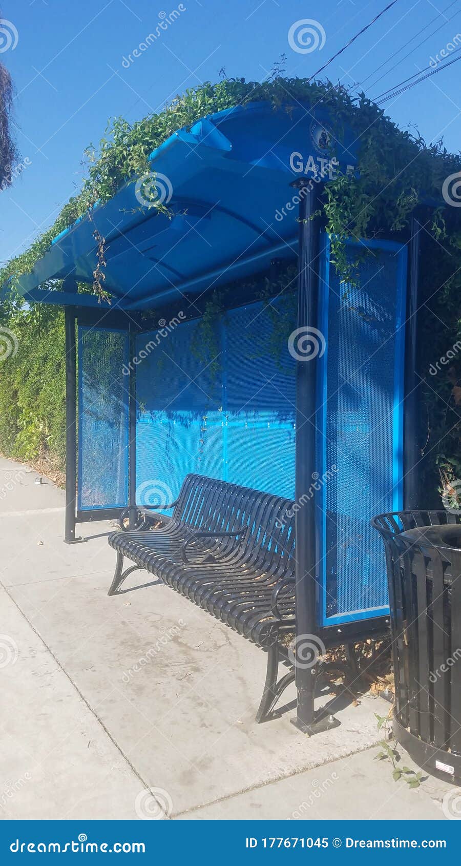 Blue Bus Stop stock image. Image of stop, black, pomona - 177671045