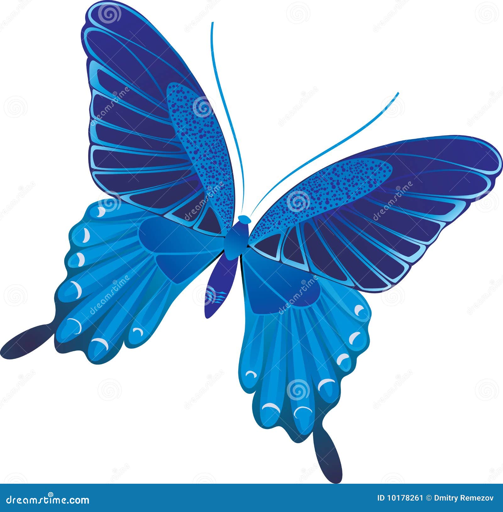 Blue Butterfly Vector Png