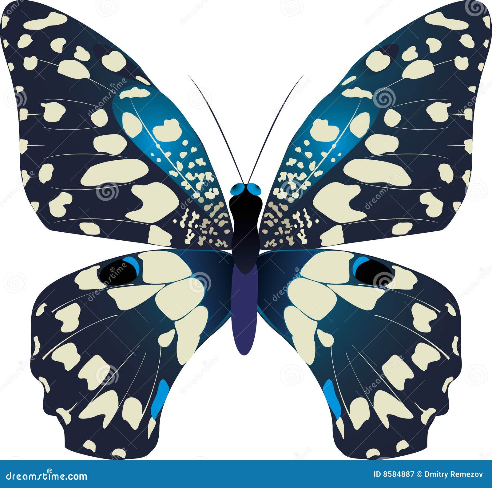 Blue butterfly stock vector. Illustration of element, nature - 8584887