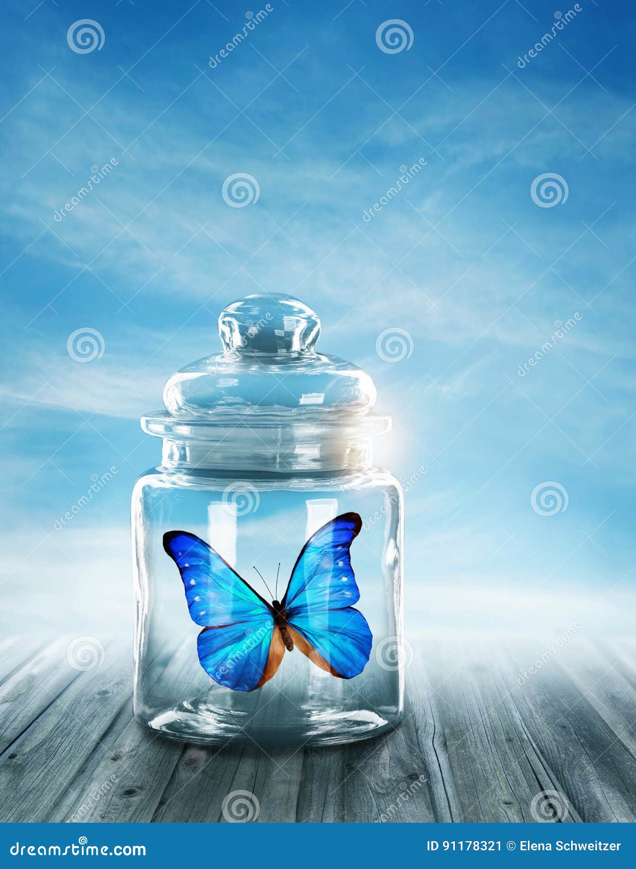 Blue butterfly closed stock illustration. Illustration of caged - 91178321