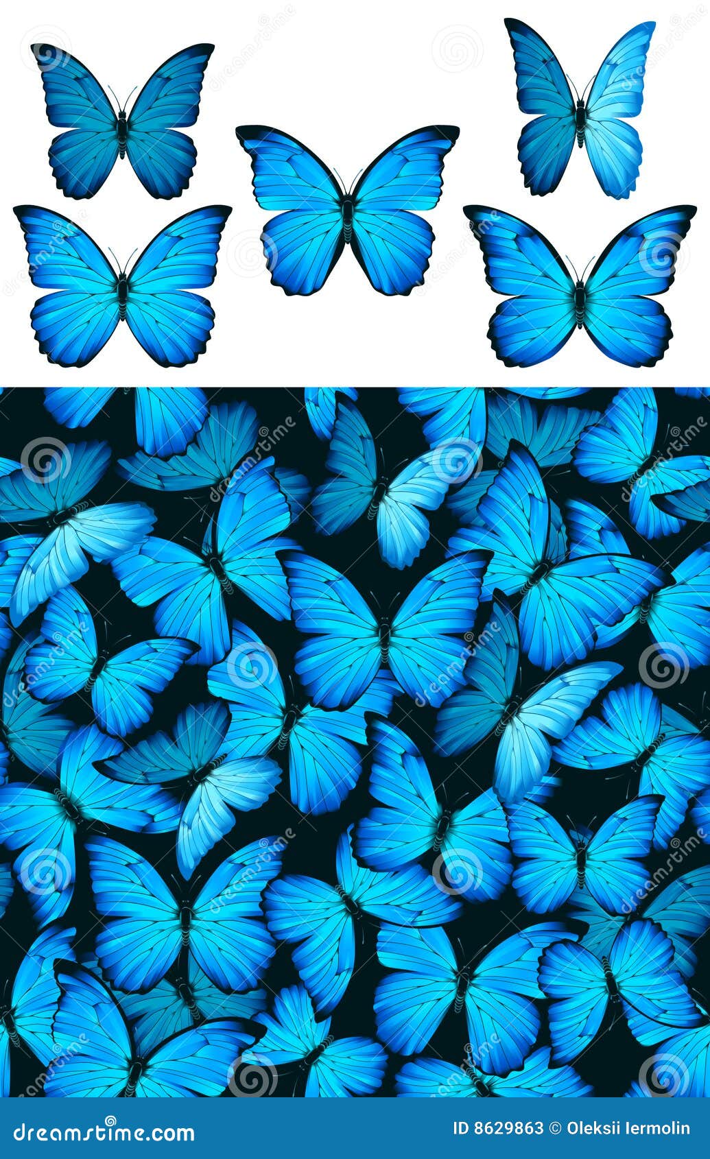 Blue Butterfly Morphinae Pattern Stock Vector - Illustration of ...