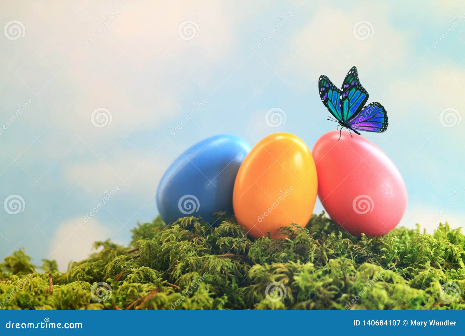 Blue Butterfly Sitting on Colorful Easter Eggs Stock Image - Image of ...