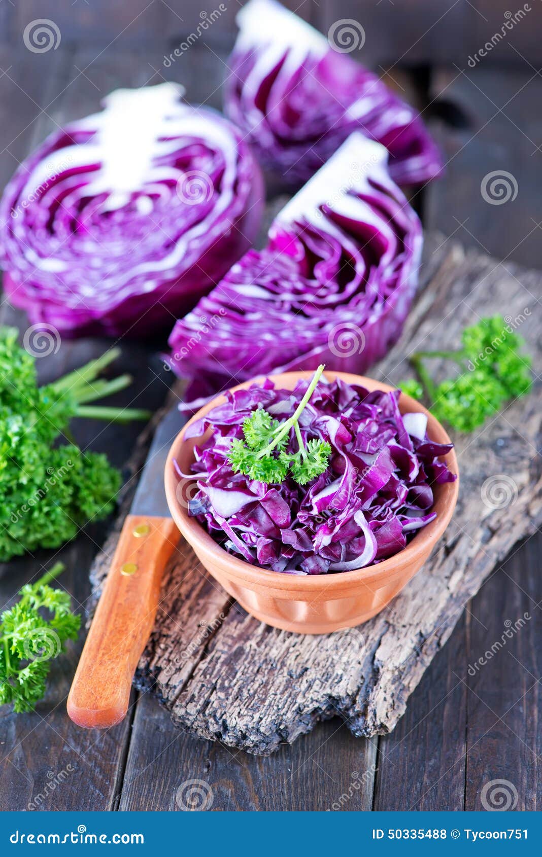 Blue Cabbage ( Blaukraut) In Rows Growing In The Field. Pattern. S ...