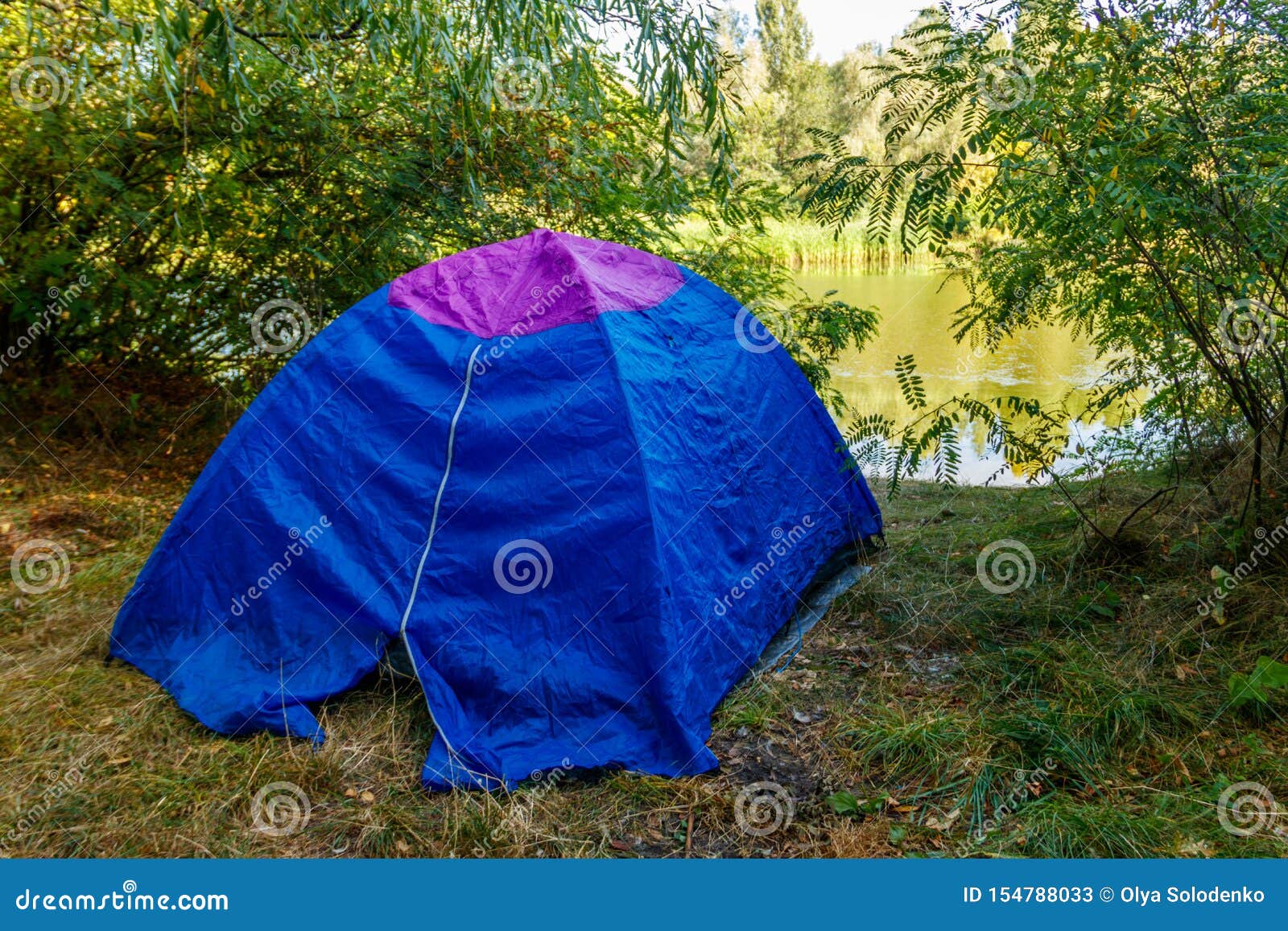 Blue Camping Tent in Forest Near River Stock Image - Image of ...