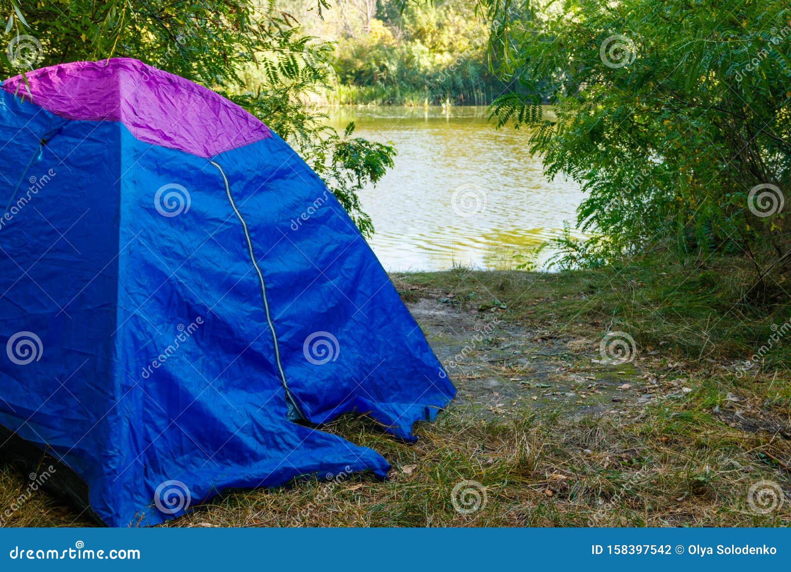 Blue Camping Tent in Forest Near River Stock Photo - Image of green ...