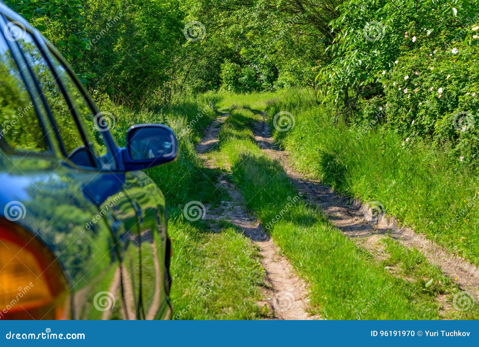 Blue car in forest stock photo. Image of beautiful, transportation ...