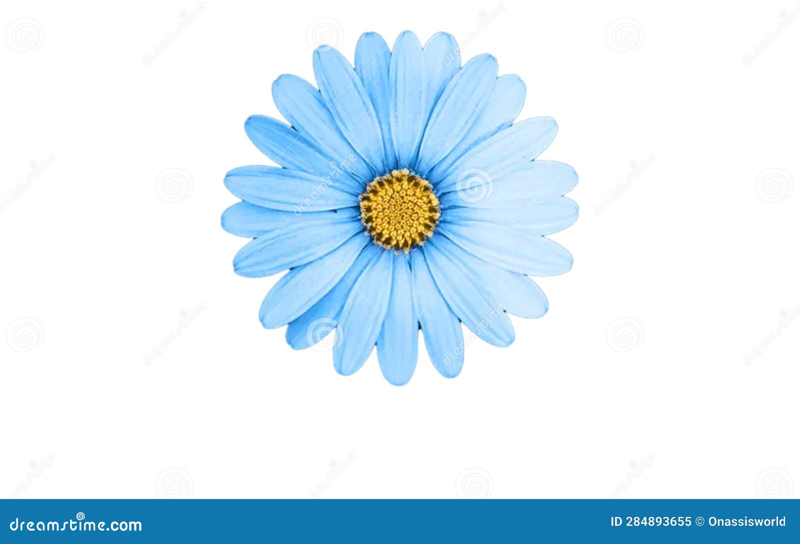 Blue Cartoon Abstract Background Illustration Objects Templates Stock ...