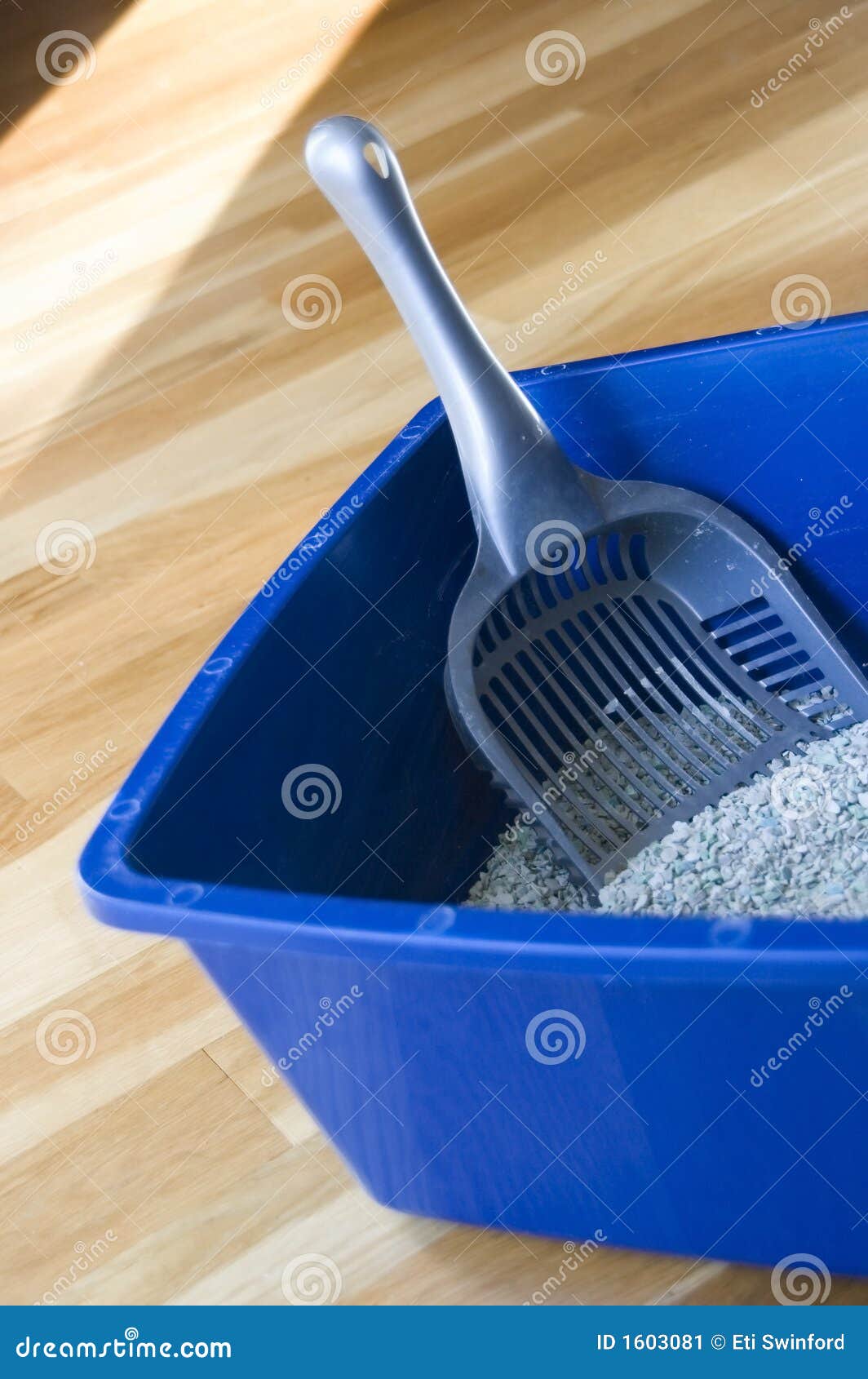 Blue cat box with litter stock image. Image of trained - 1603081