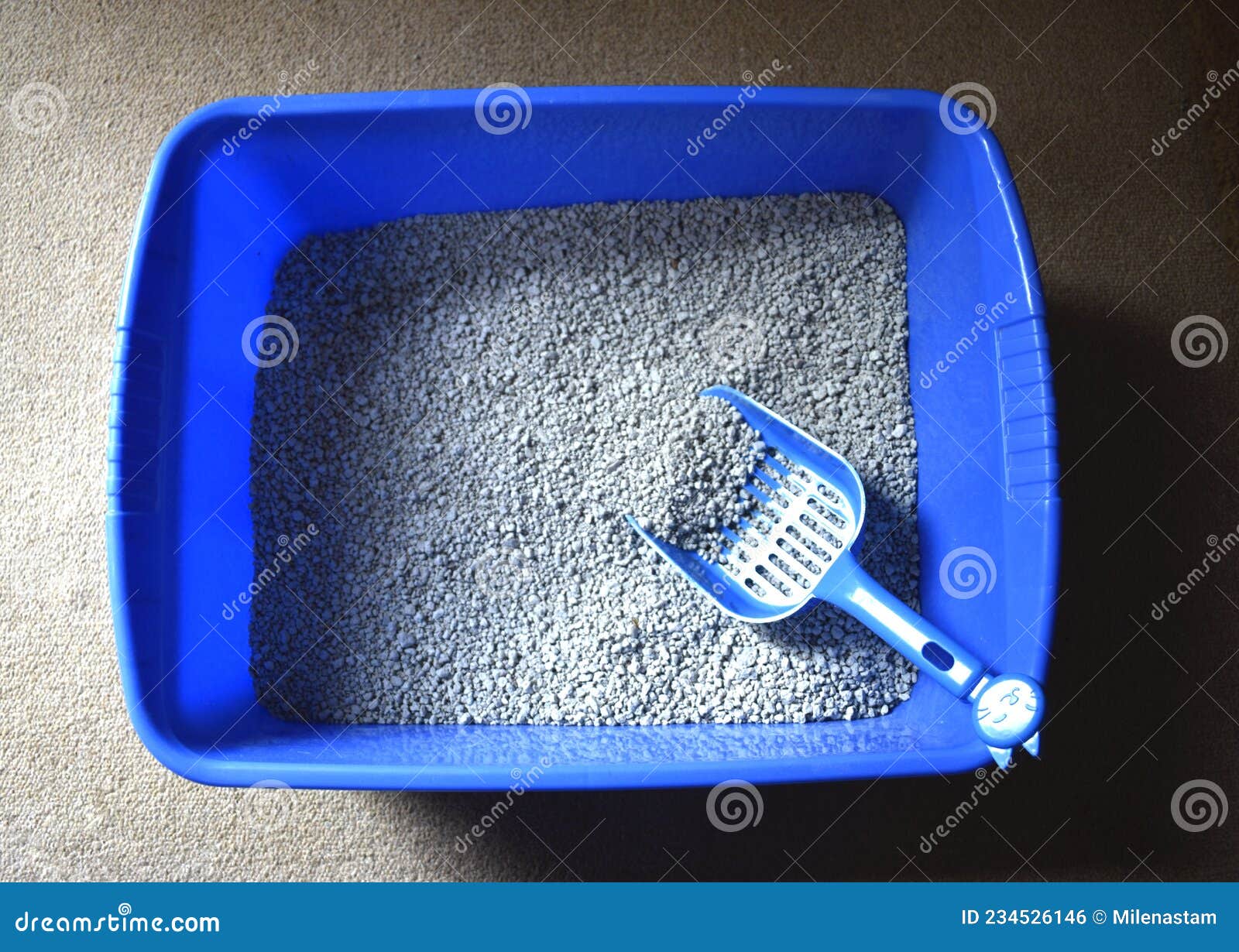 Blue cat litter box stock photo. Image of care, domestic - 234526146
