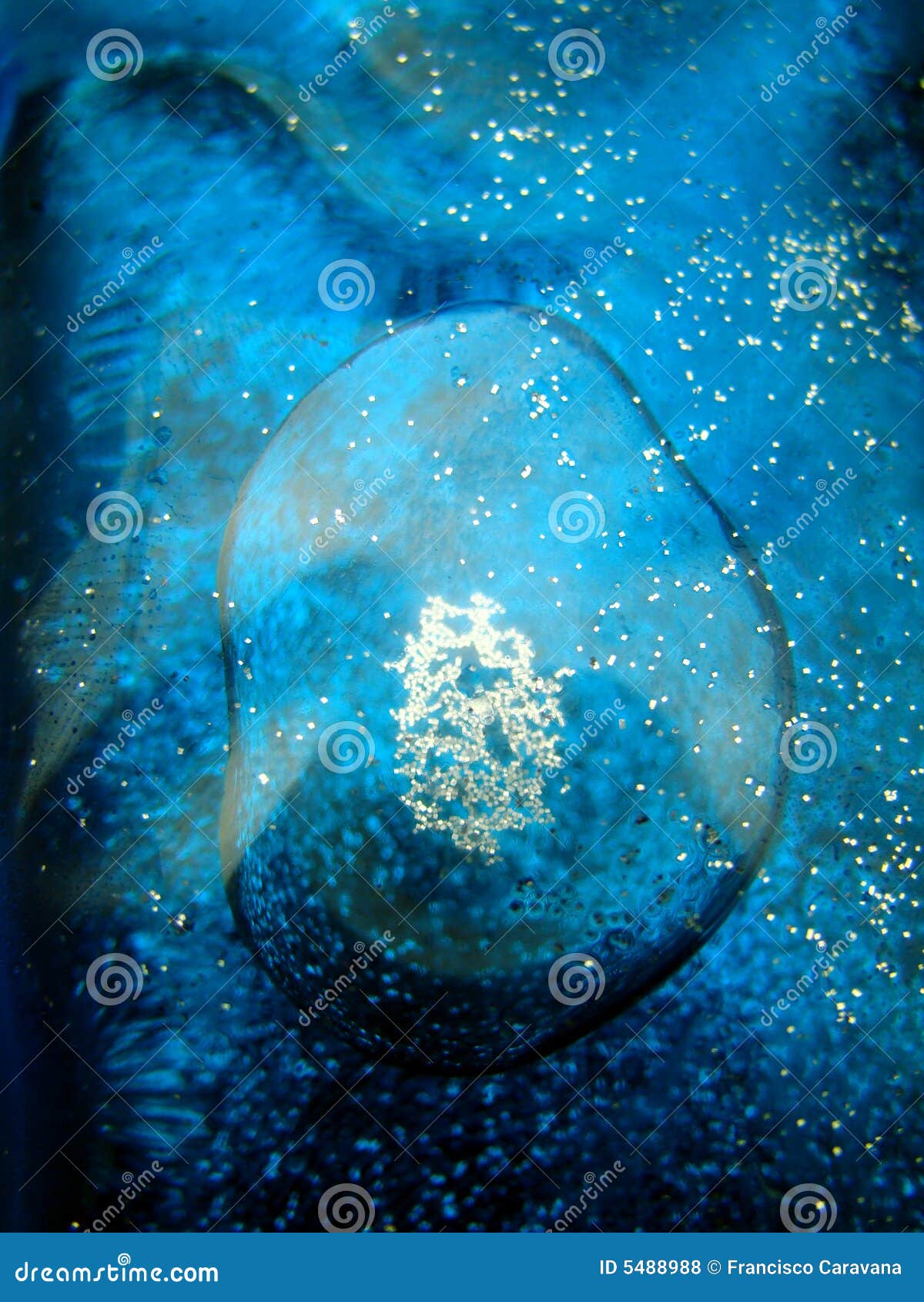 Blue cell stock photo. Image of diseases, biological, blue - 5488988