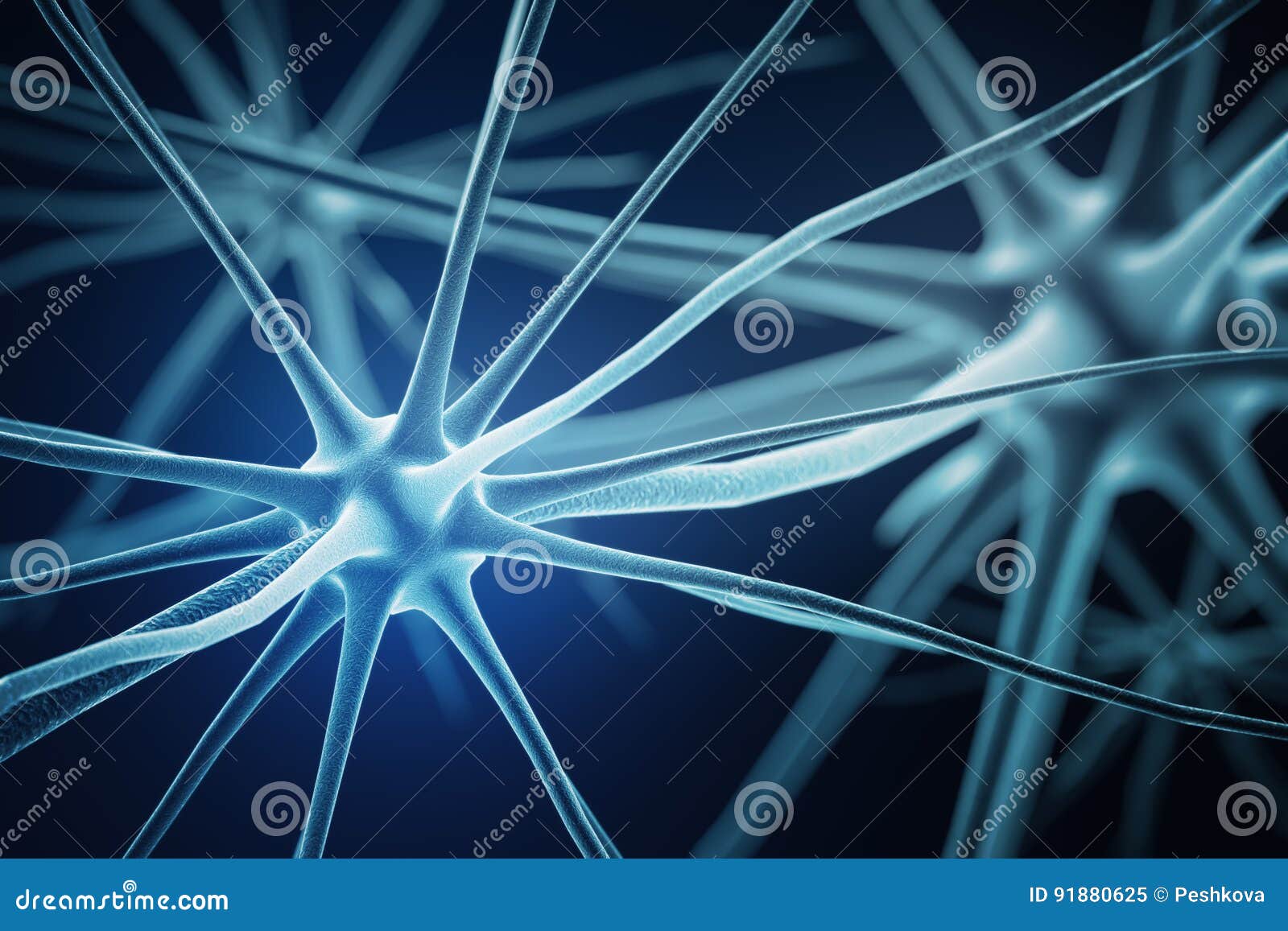 Blue Cell With Nucleus Showing Anatomy For Science Textbook Royalty ...
