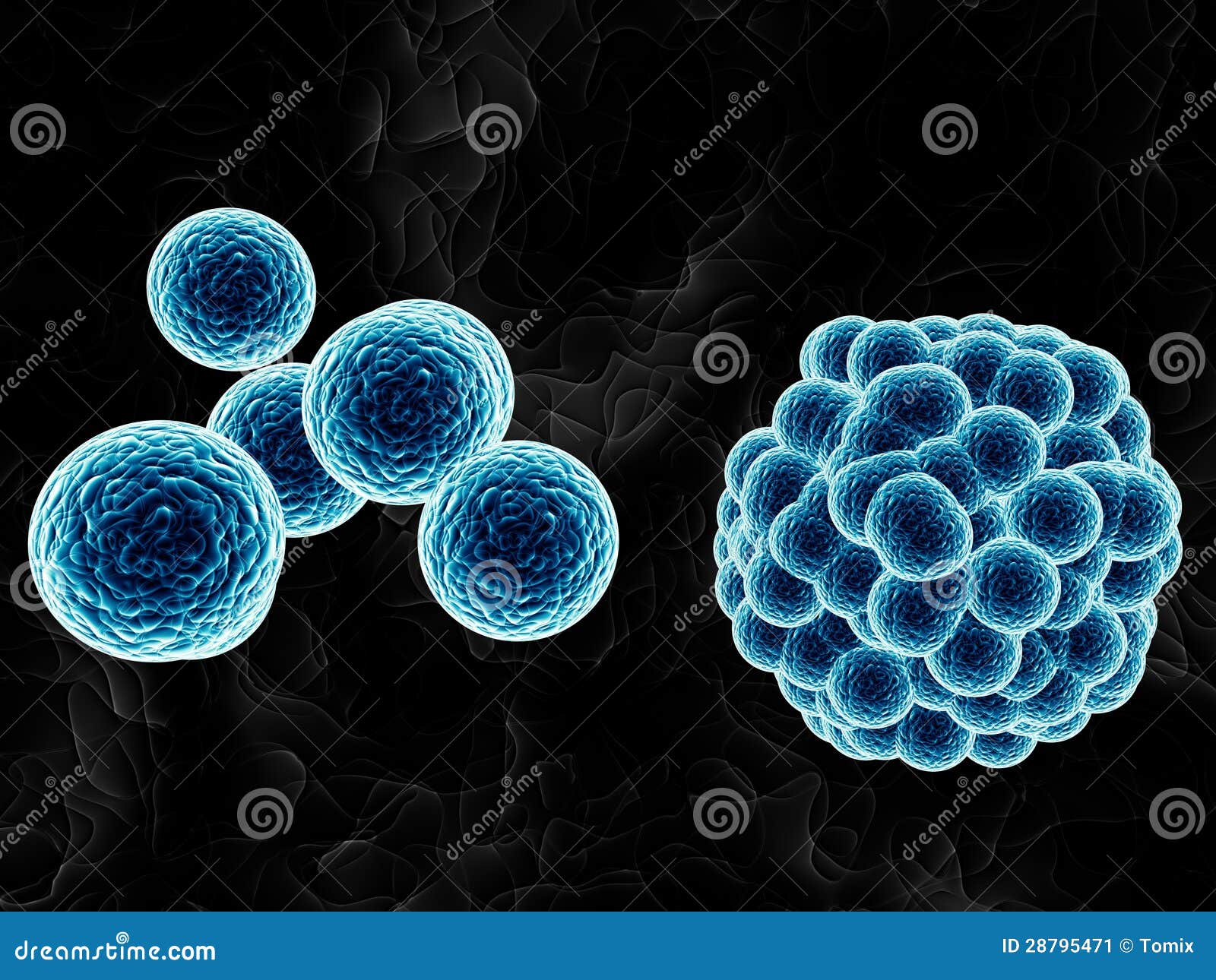 Blue cells stock illustration. Illustration of black - 28795471