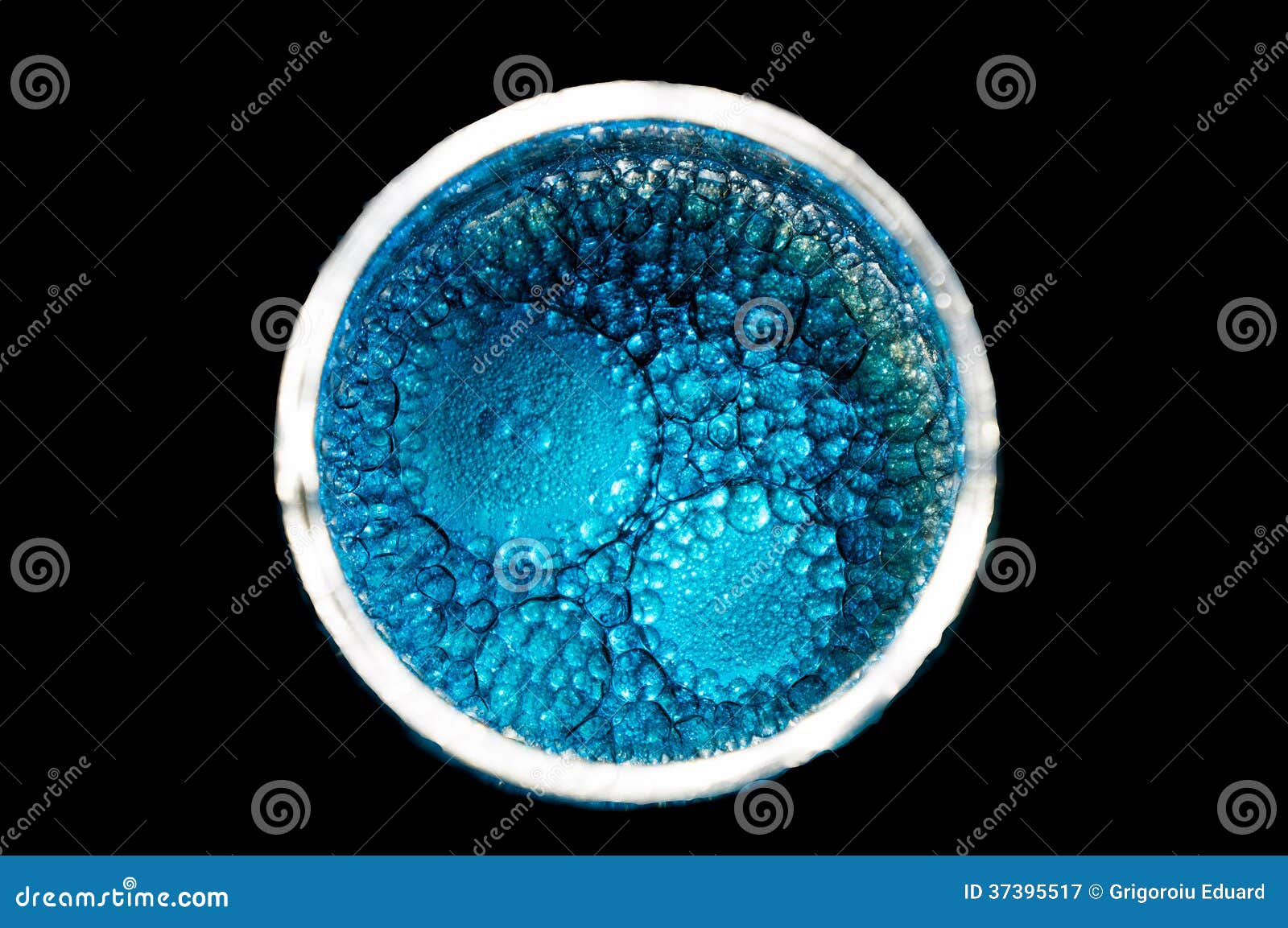 Blue Cells, Microscopic Particles. Molecules, Molecular Cell. Close Up ...