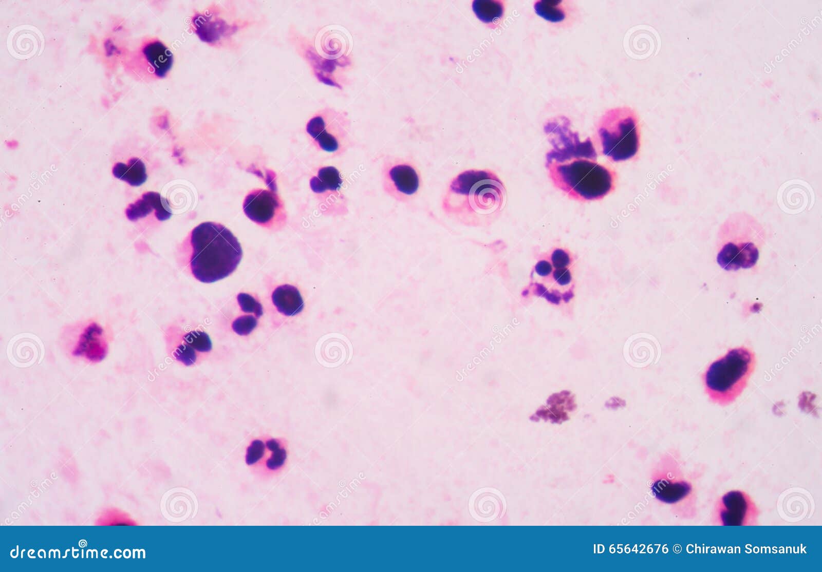 Blue cells stock photo. Image of chemical, health, investigation - 65642676
