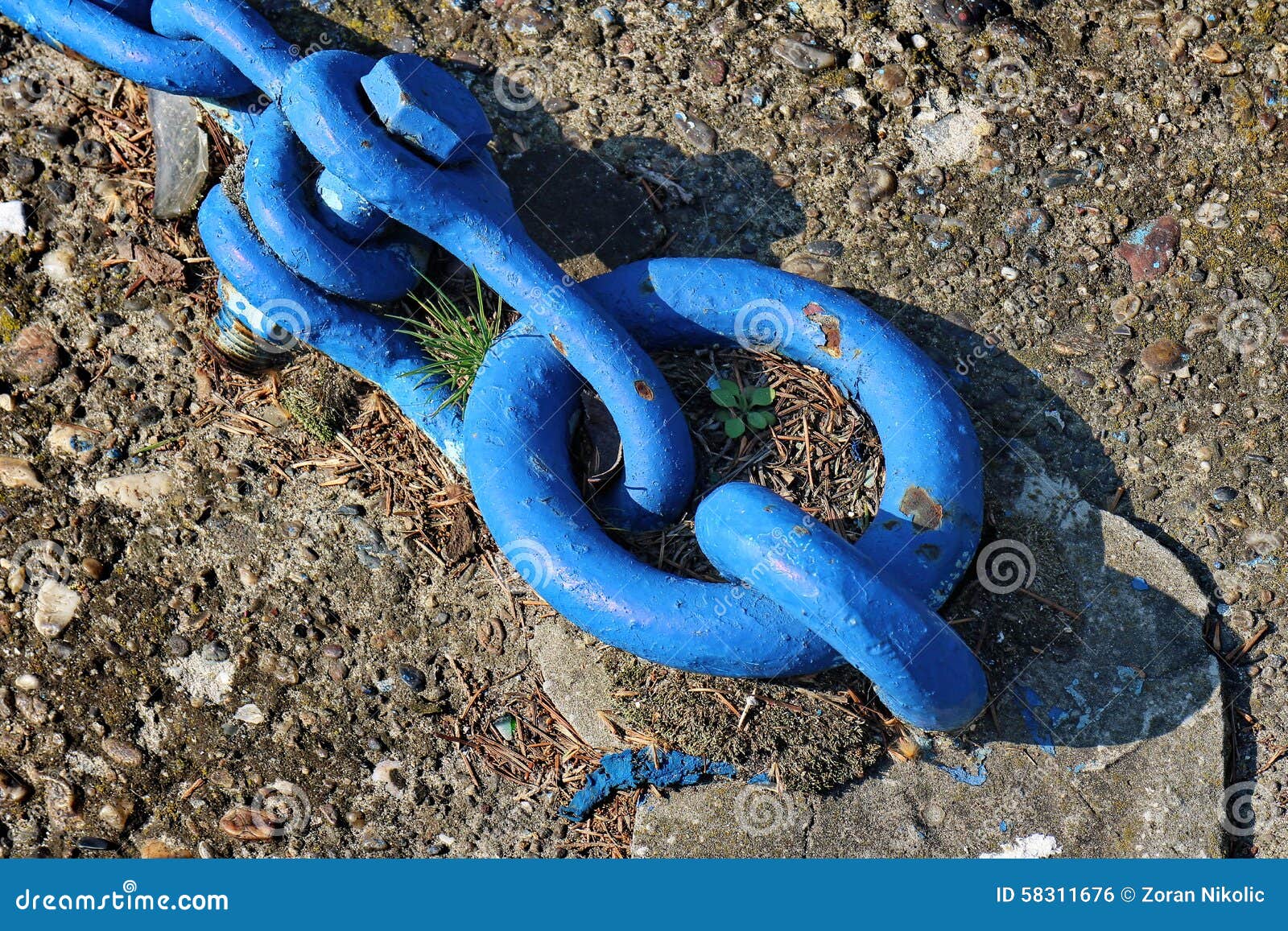 Blue chains stock photo. Image of reptile, navy, strength - 58311676