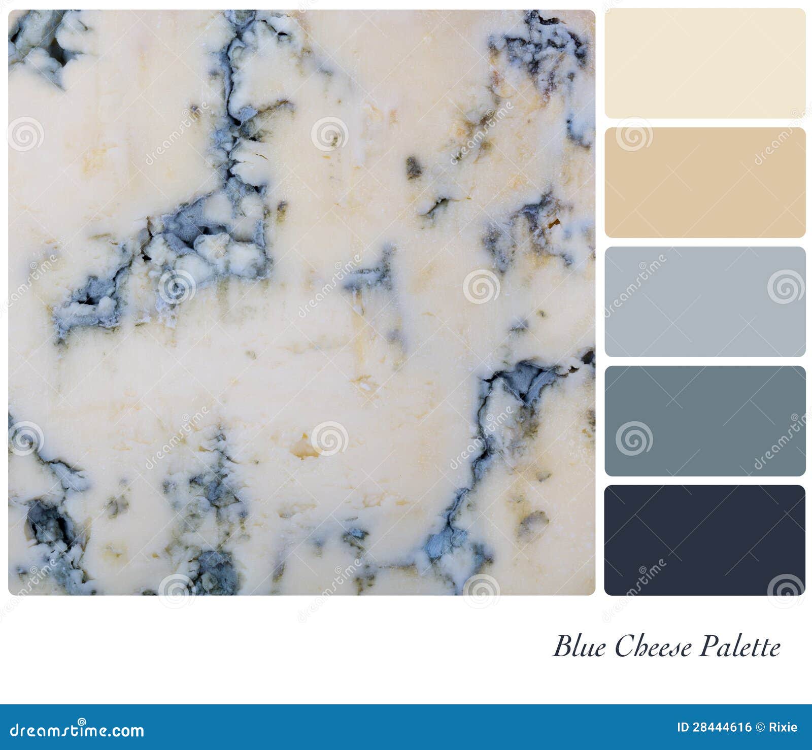 Blue Cheese Palette stock photo. Image of organic, closeup - 28444616