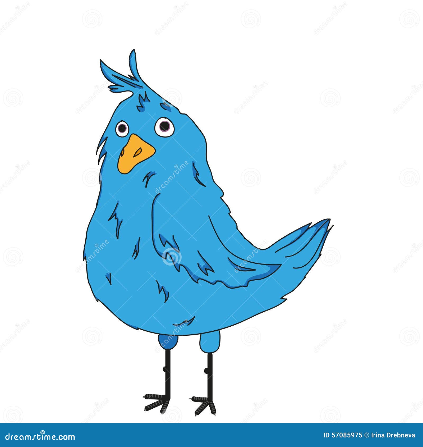 Blue chicken stock illustration. Illustration of birds - 57085975