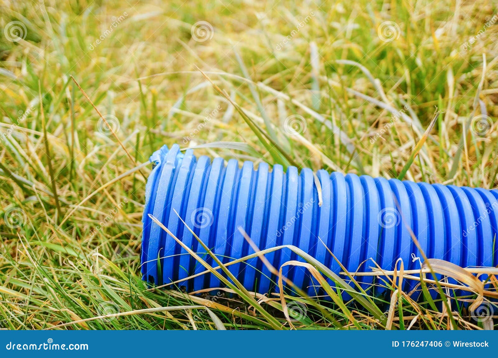 Blue Circular Object on a Green Field of Grass Stock Photo - Image of ...