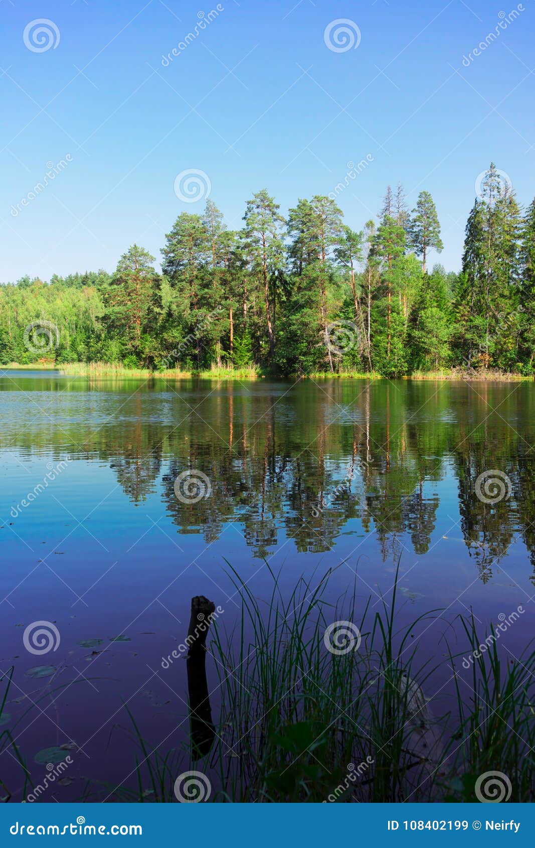 Blue clear lake stock image. Image of outdoor, green - 108402199