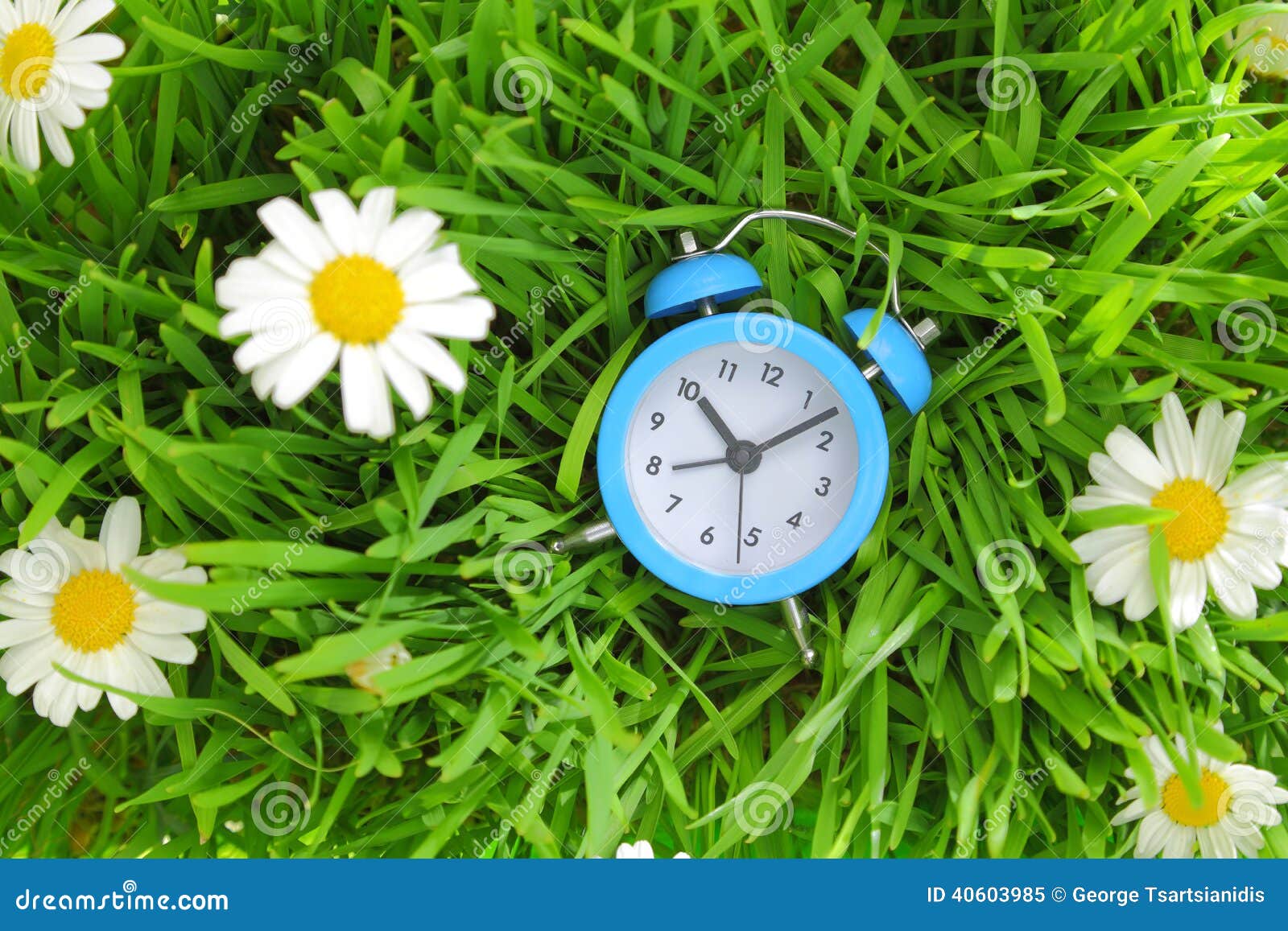 13,929 Grass Clock Stock Photos - Free & Royalty-Free Stock Photos from ...
