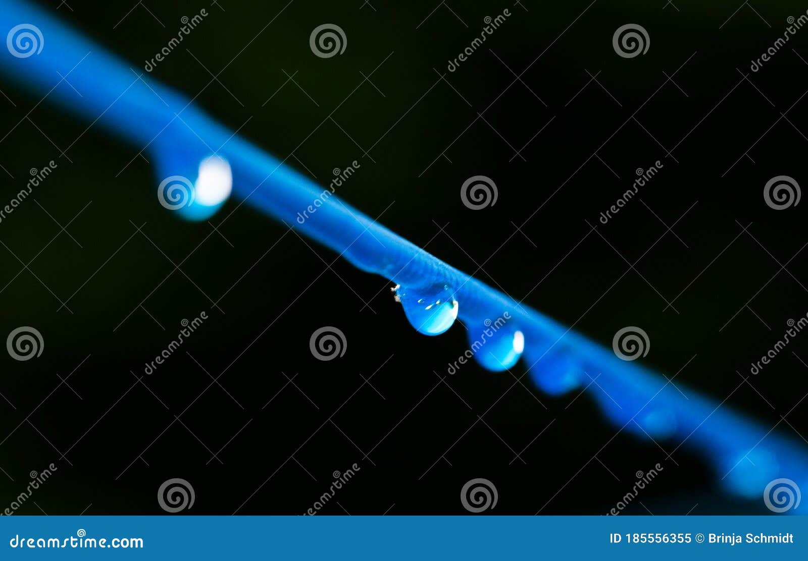 A Blue Clothing Line with Many Raindrops at the String in Front of a ...