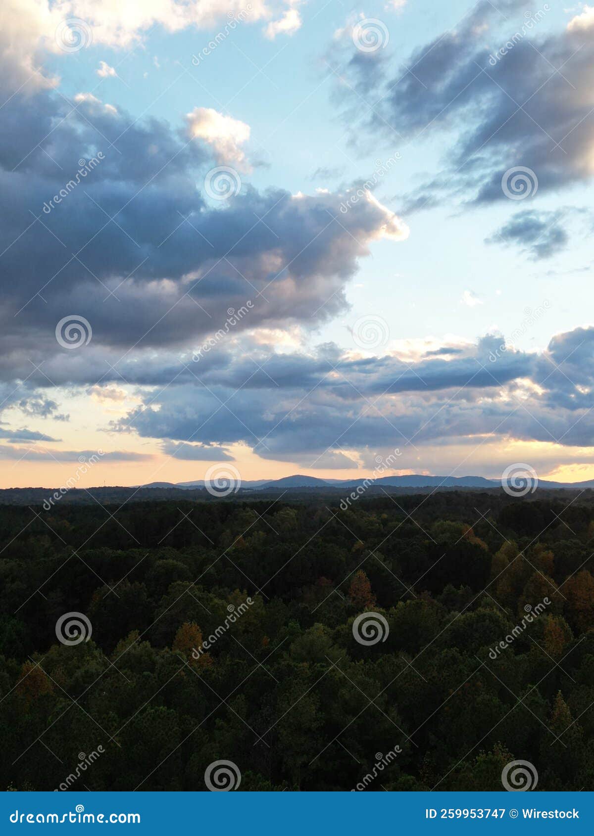 Blue Cloudy Sunset Sky Over the Forest, Vertical Stock Image - Image of ...