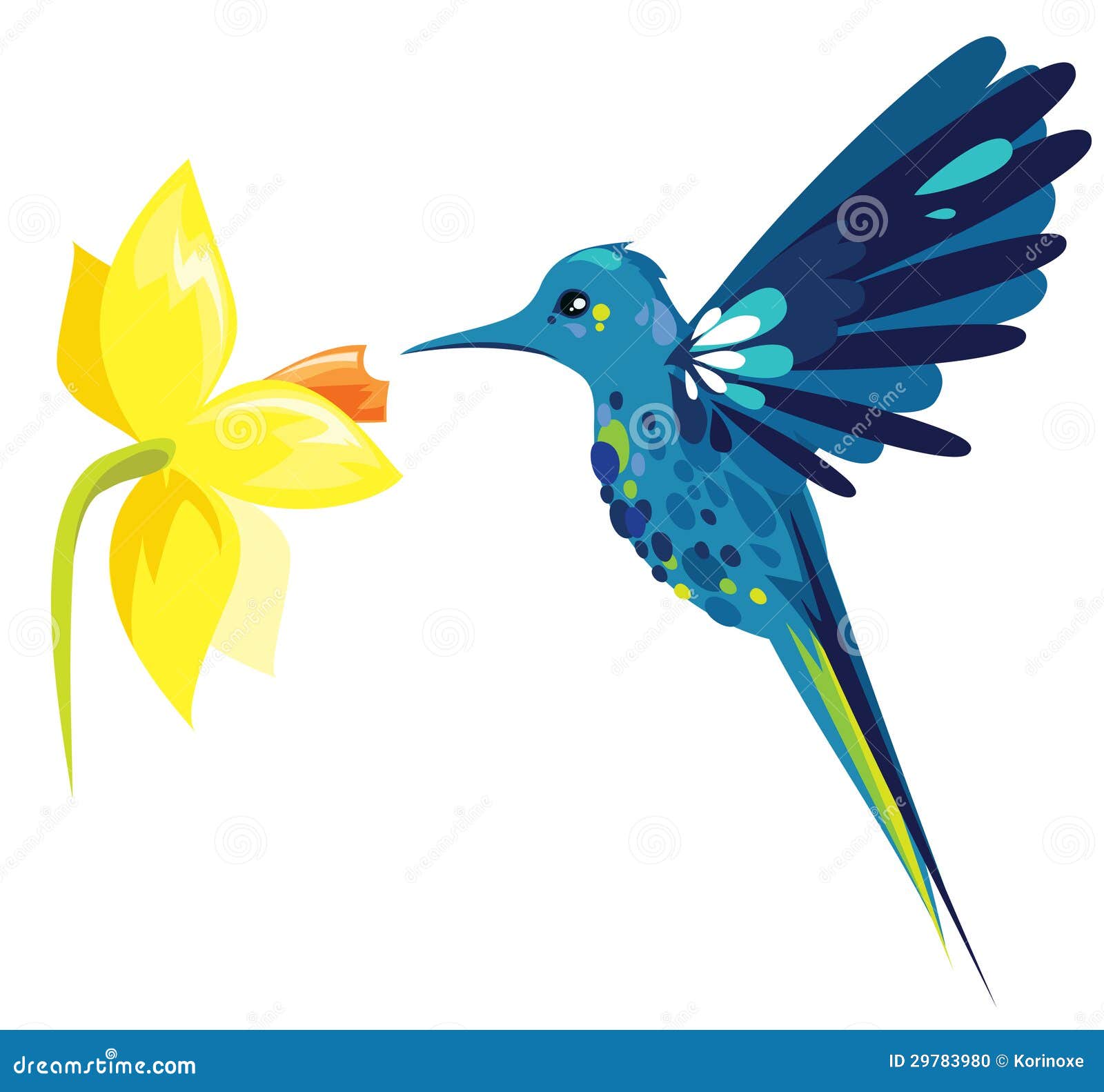 Colibri stock vector. Illustration of bird, blossom, graphic - 29783980