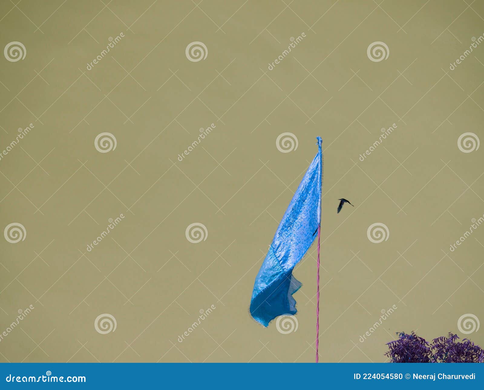 Color Flying Flag Presenting Isolated at Sky Background Stock Photo ...