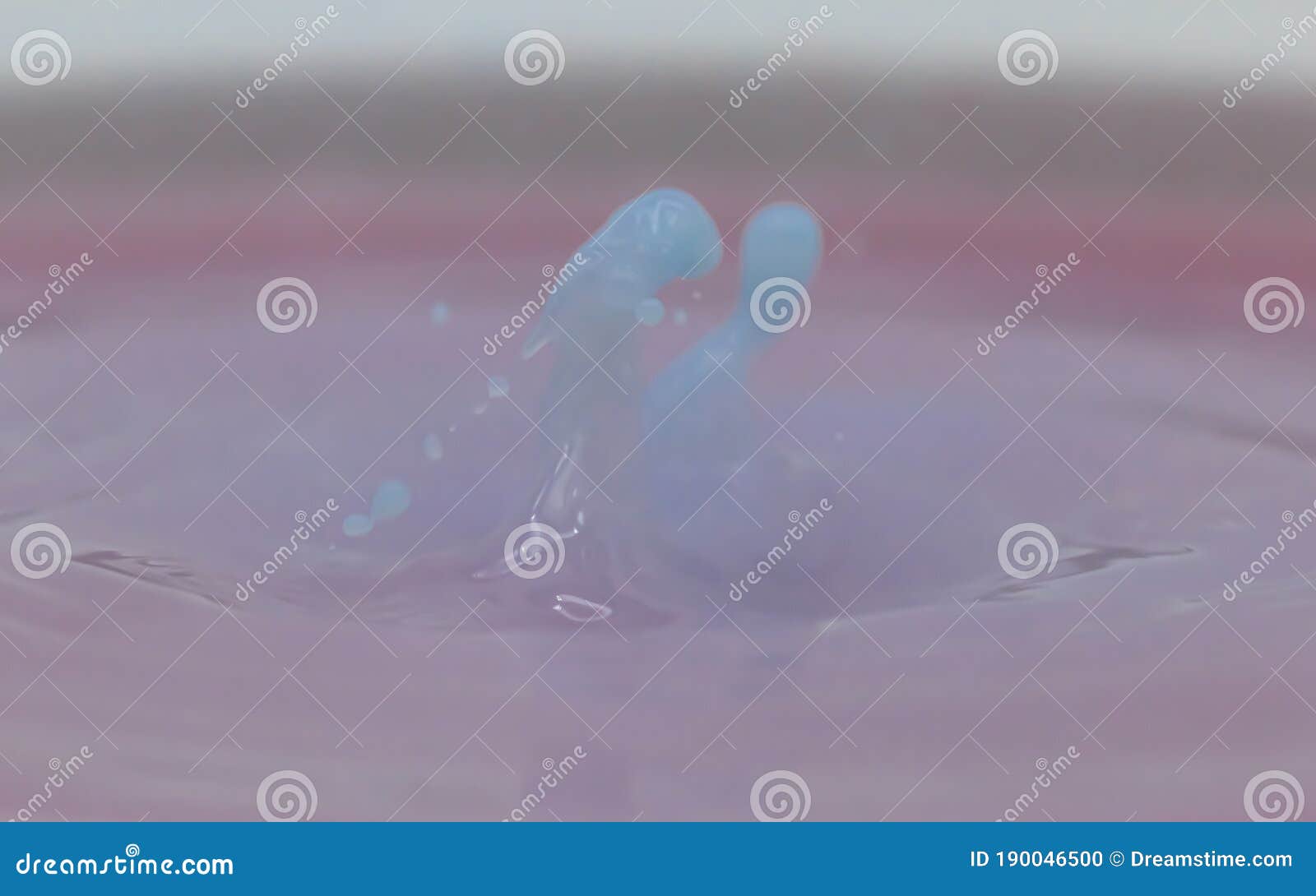 Blue Color Water Drop and Splash Stock Photo - Image of pink, form ...