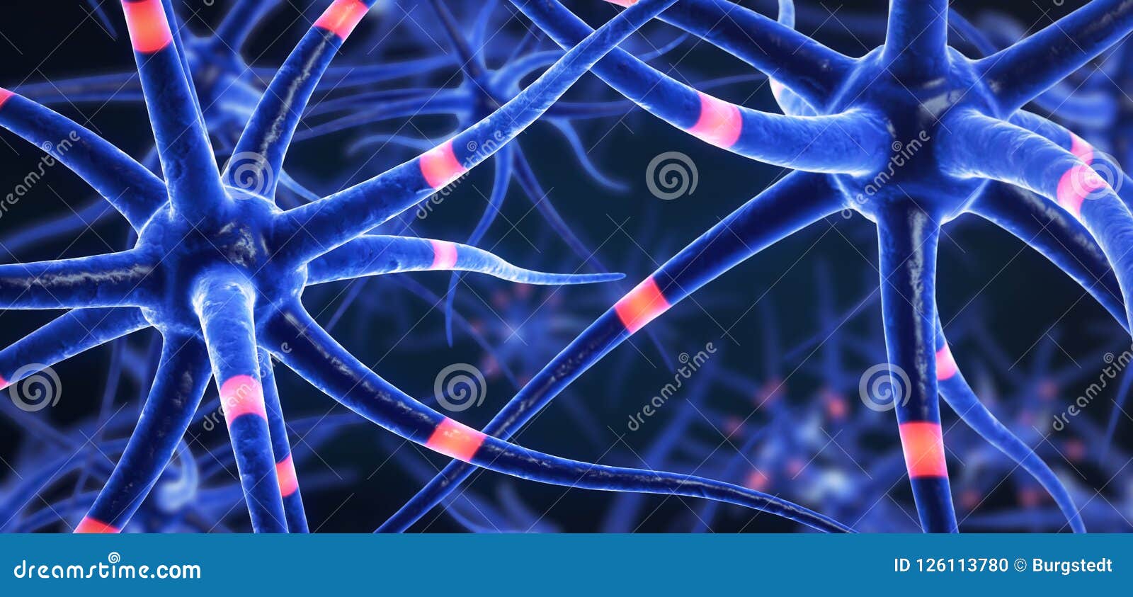 Blue Colored Transmitting Brain Cells Stock Illustration - Illustration ...