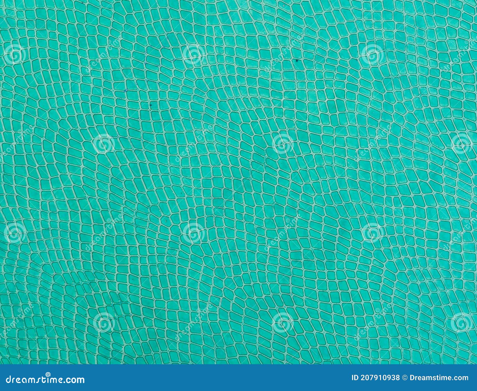 Colorful Snake Skin Texture. Seamless Pattern Stock Photo ...
