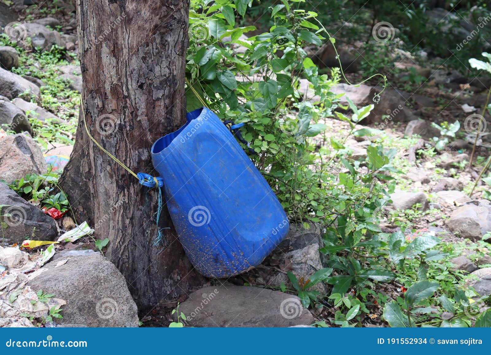 Blue Colourd Regional Dustbin in the Tropical Forest. Stock Photo ...