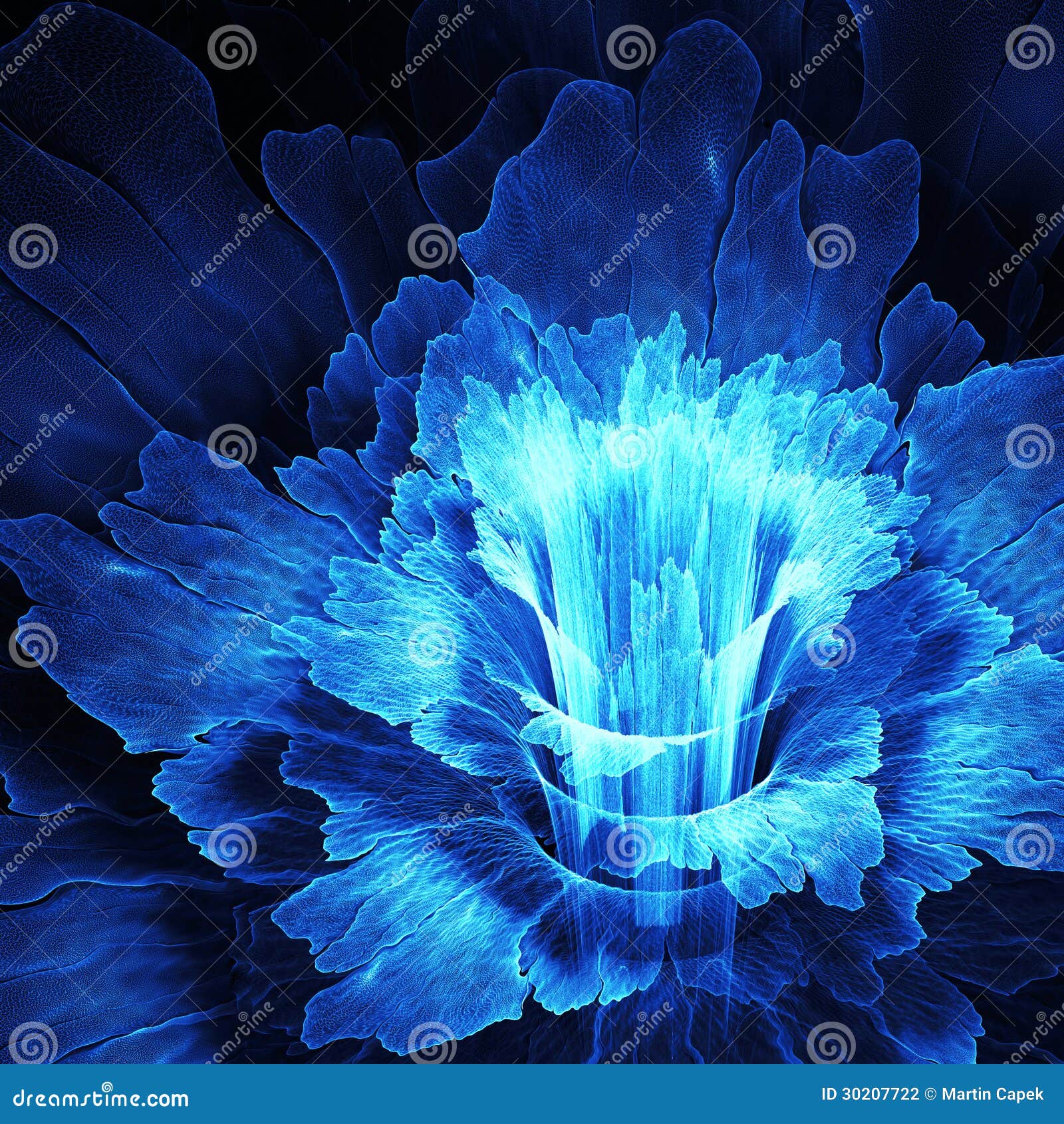 Fractal Flower Stock Illustration Illustration Of Dream 30207722