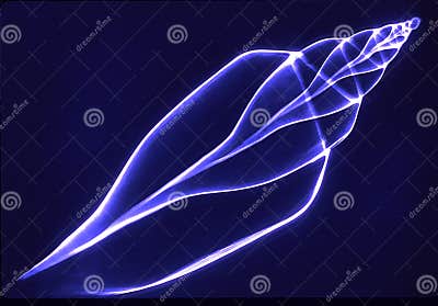 Blue Conch stock image. Image of beach, abstract, life - 883483