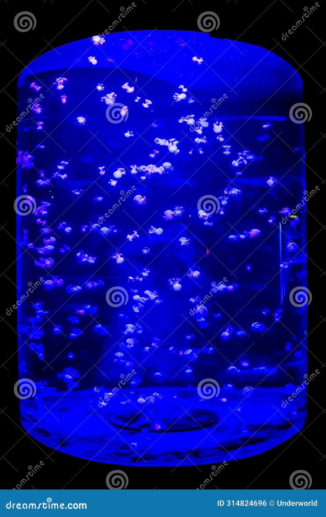 A Blue Container with Many Small Bubbles Inside Stock Photo - Image of ...
