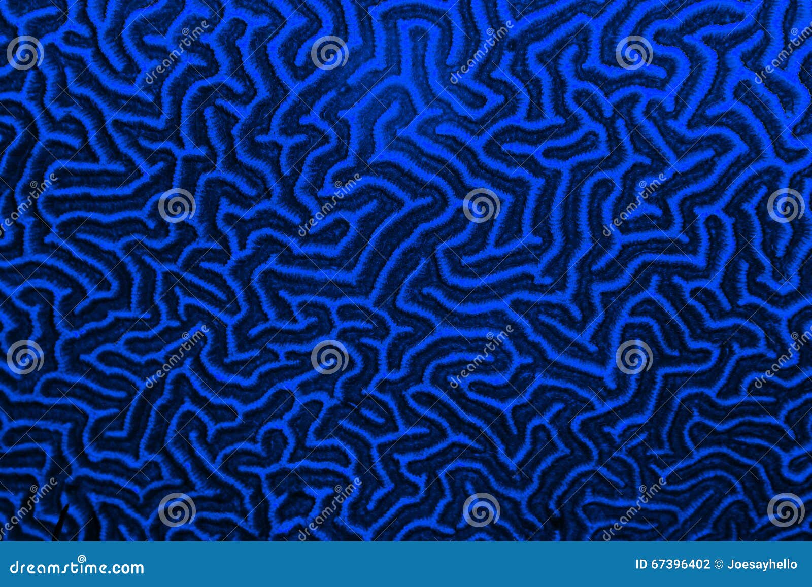 Blue Coral pattern stock illustration. Illustration of black - 67396402