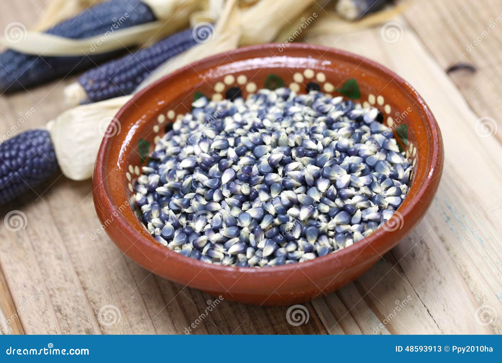 Blue corn stock image. Image of organic, food, chip, dark - 48593913