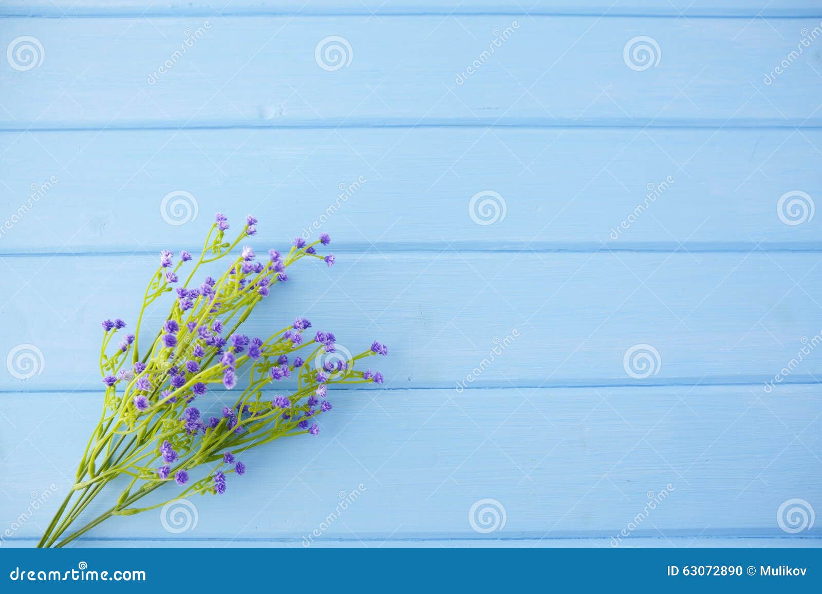 Blue Cornflower Bouquet on Blue Background Stock Photo - Image of ...