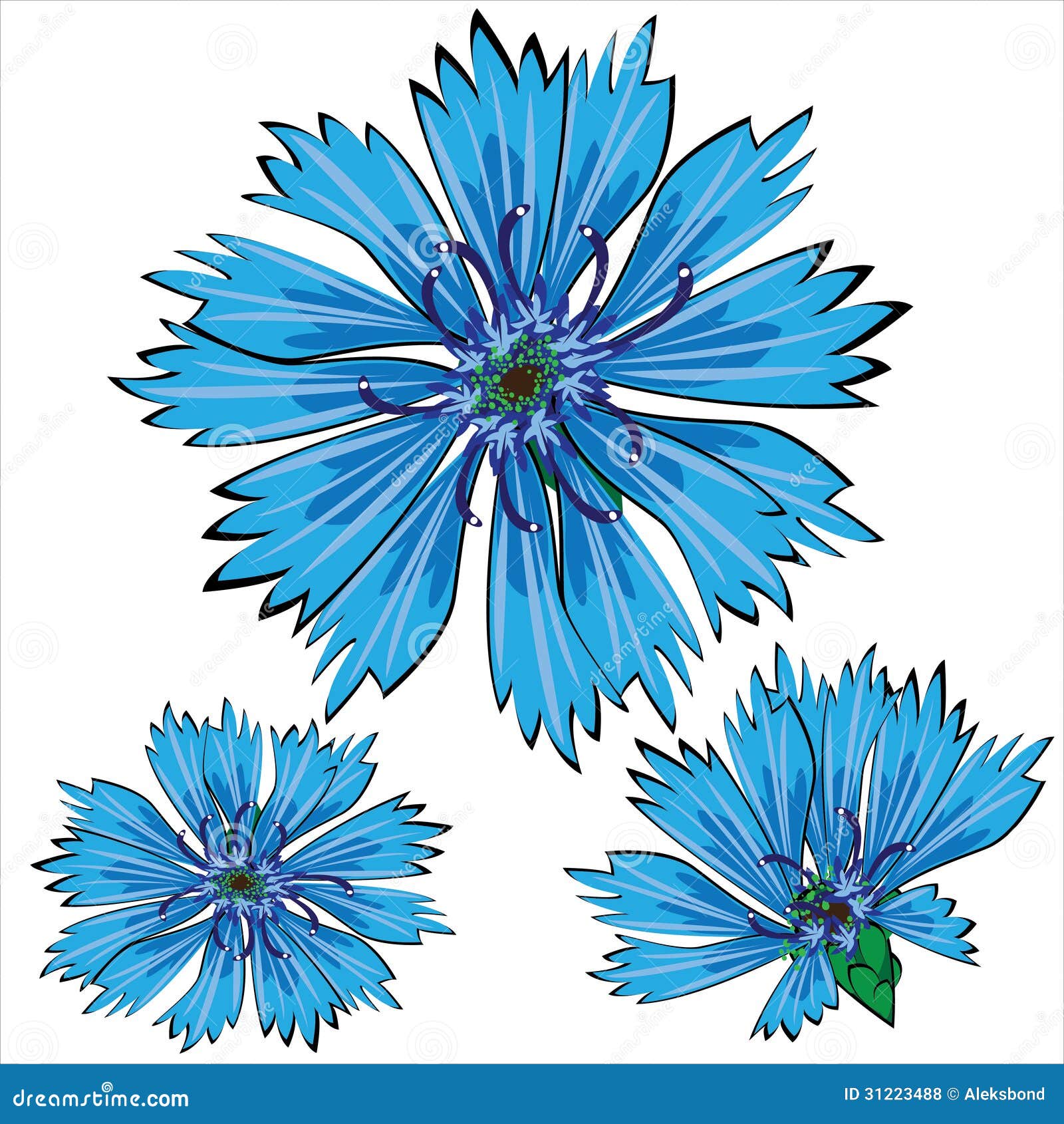 Blue Cornflower Stock Illustration | CartoonDealer.com #18170086