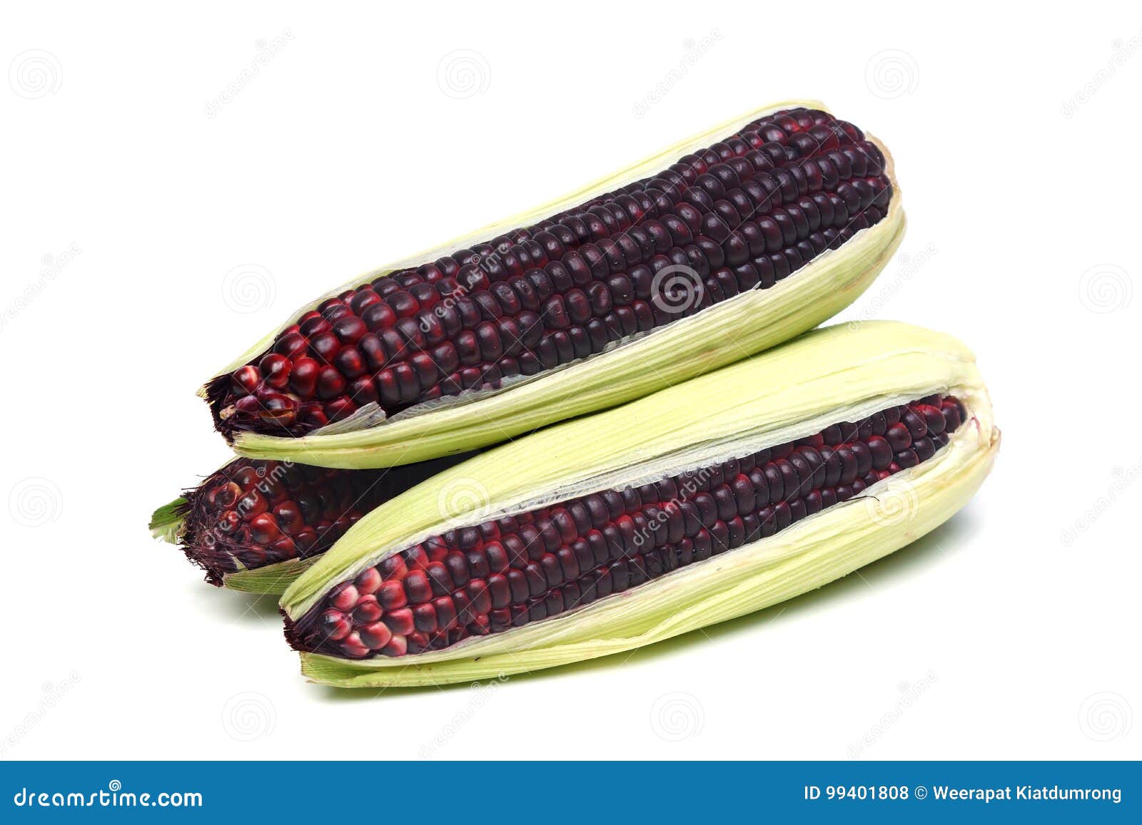 Blue corns stock photo. Image of isolated, purple, white - 99401808