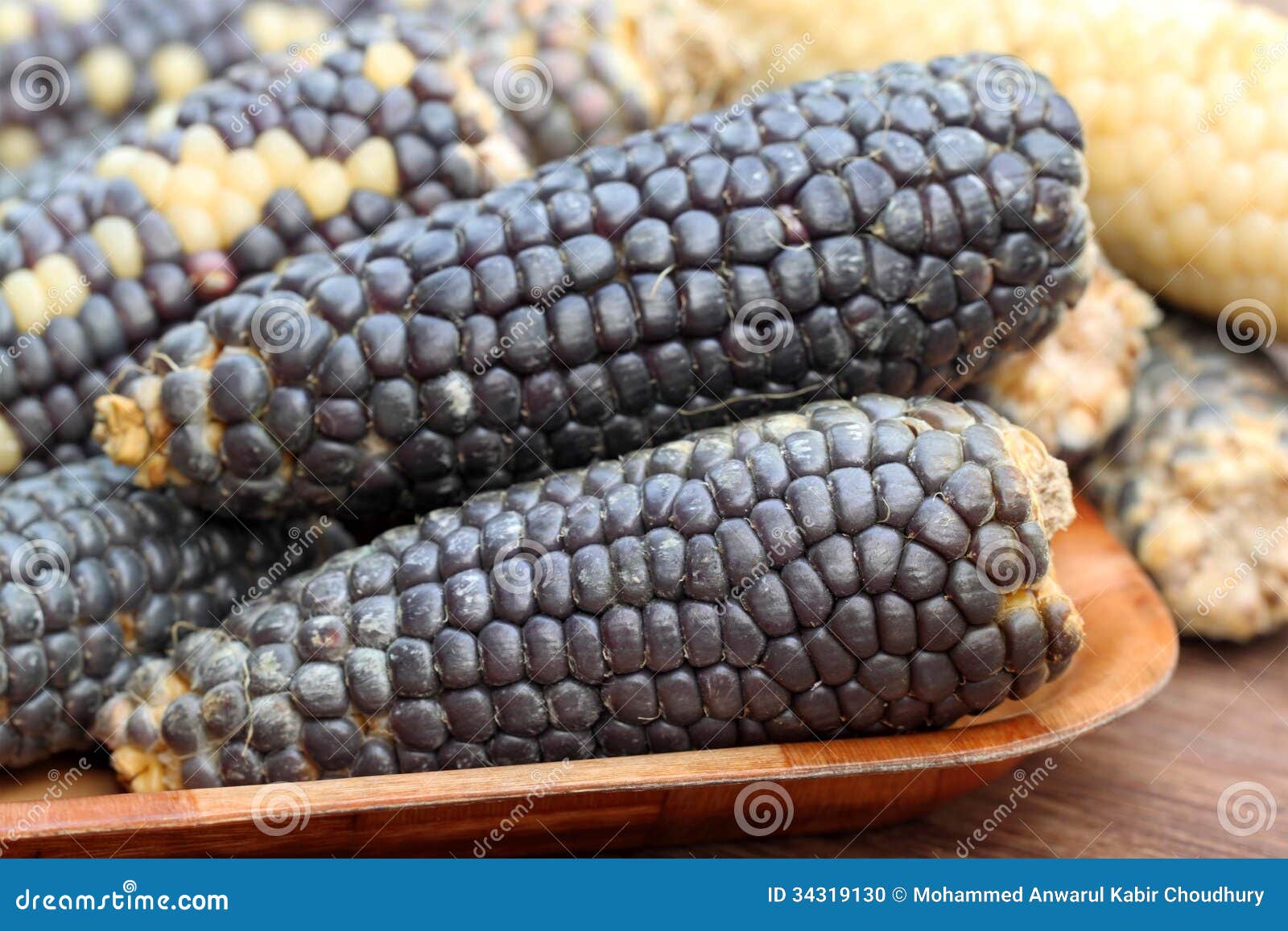 Blue corns stock photo. Image of grain, natural, healthy - 34319130