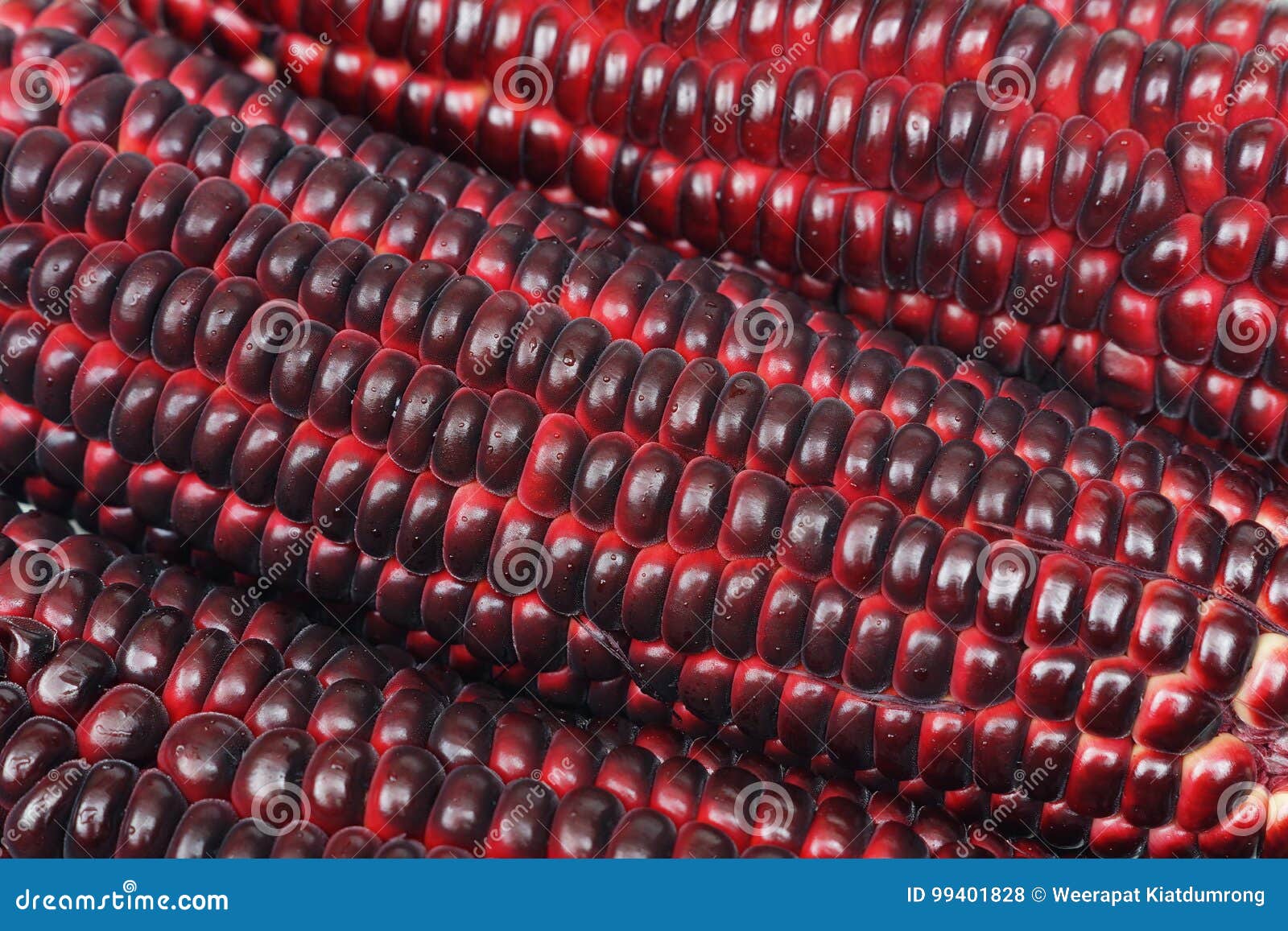 Blue corns stock photo. Image of corns, texture, food - 99401828