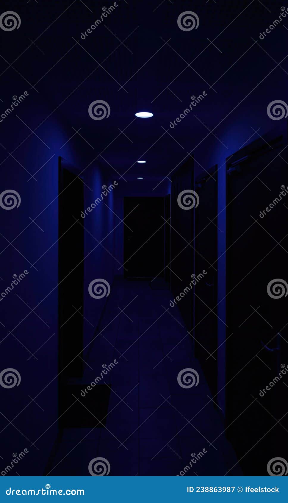 Blue Corridor with Multiple Doors and Light Spot on the Ceiling Stock ...