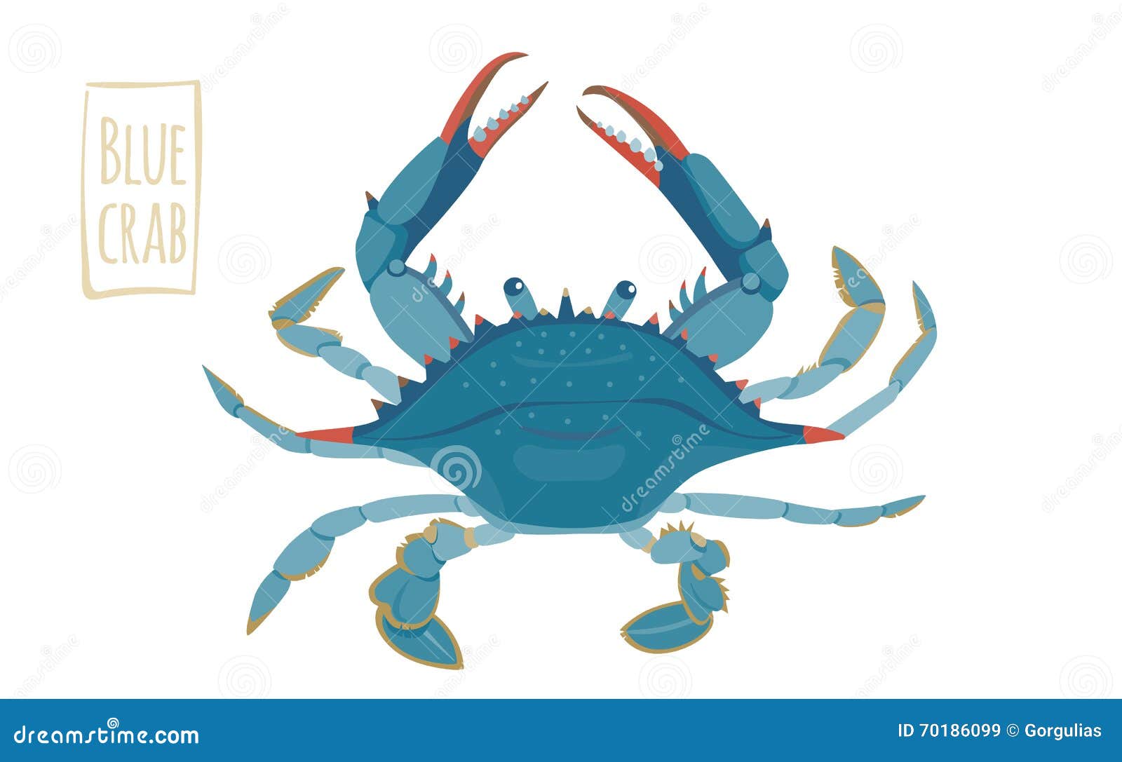 Red Crab Cartoon Vector | CartoonDealer.com #15131231