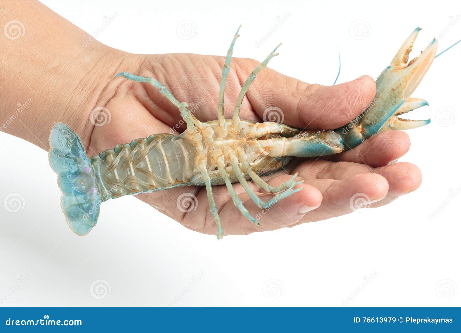 Lobster. A Hand Holding A Giant Lobster At A Seafood Buffet. Soft Focus ...