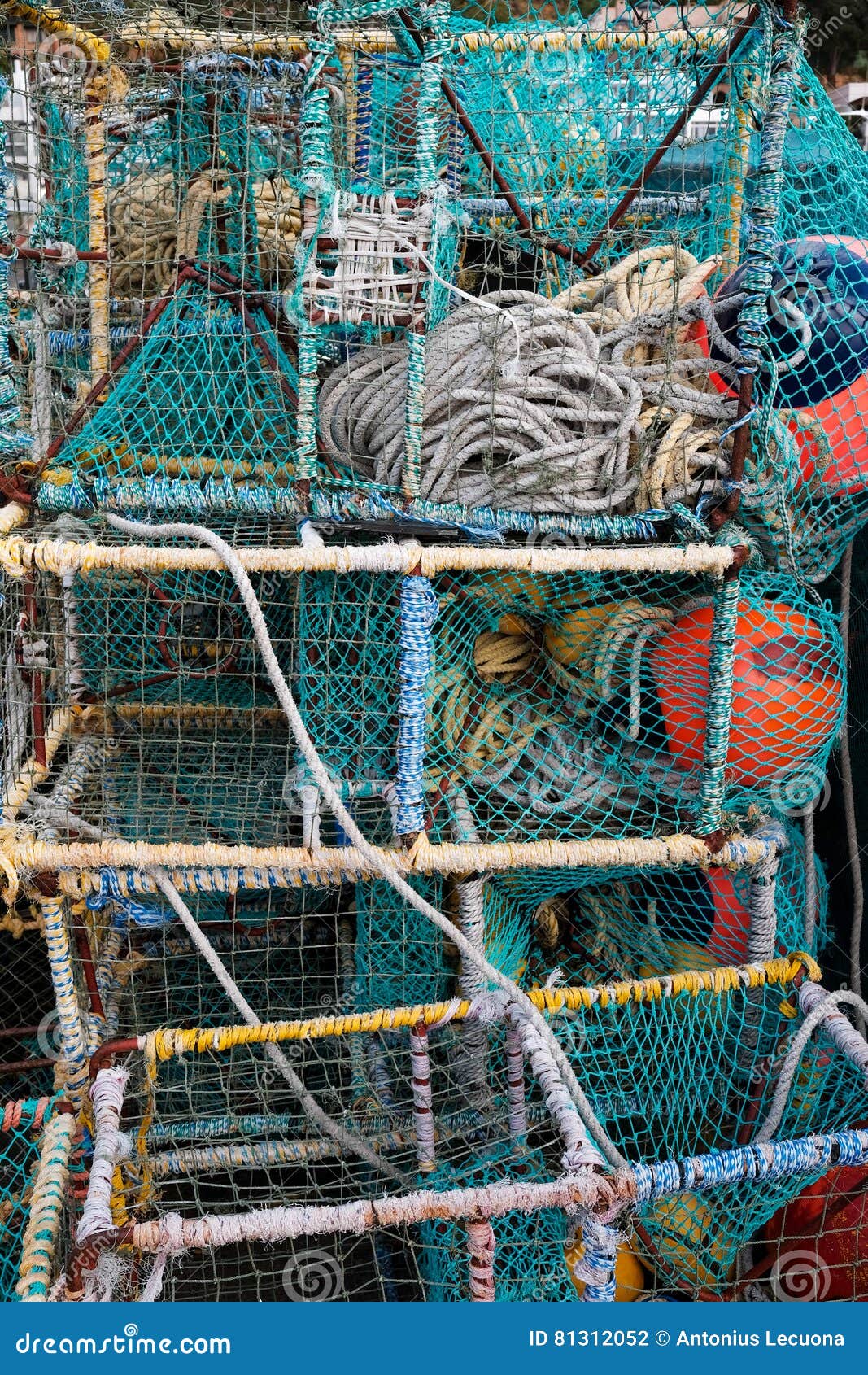 Blue Crayfish and Lobster Cages Stock Photo - Image of cages, netting ...