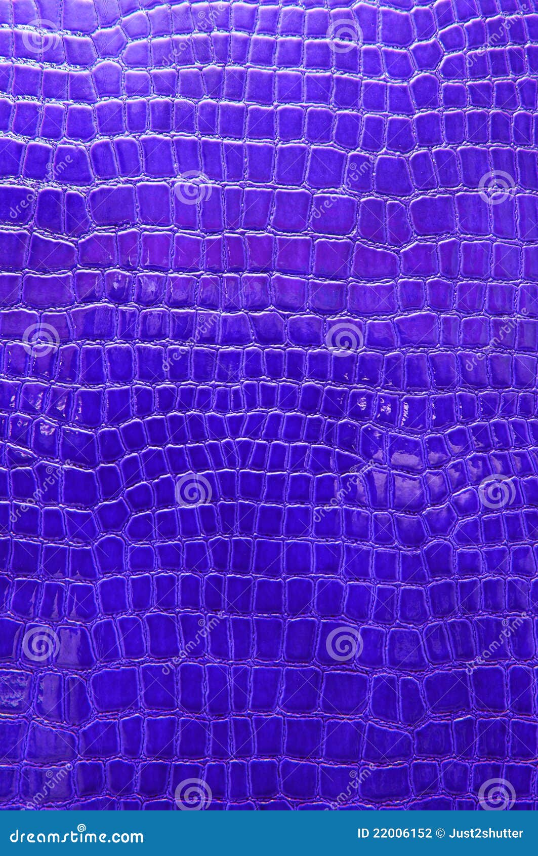 Blue crocodile leather stock photo. Image of macro, abstract - 22006152
