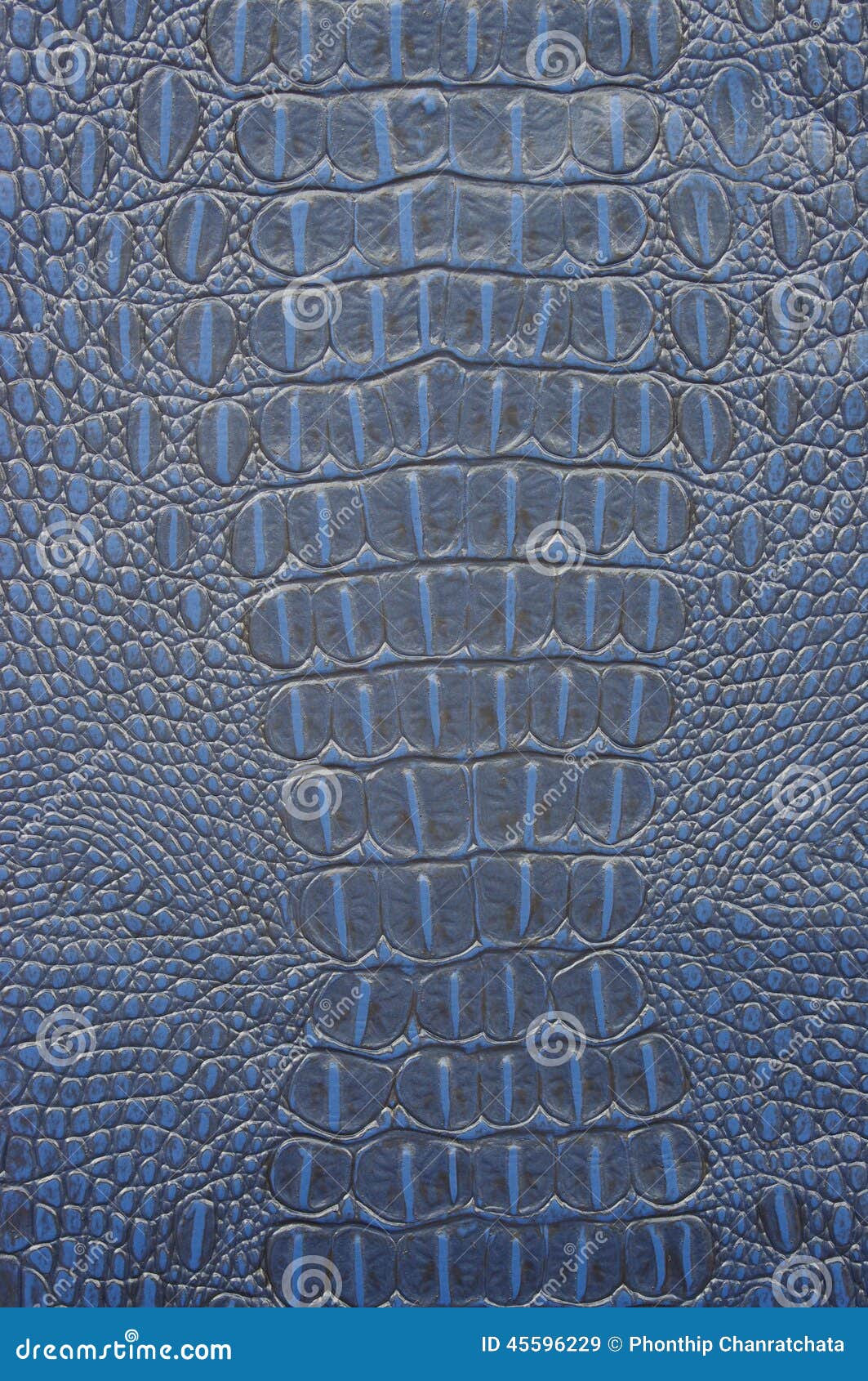 Blue Crocodile leather stock image. Image of abstract - 45596229