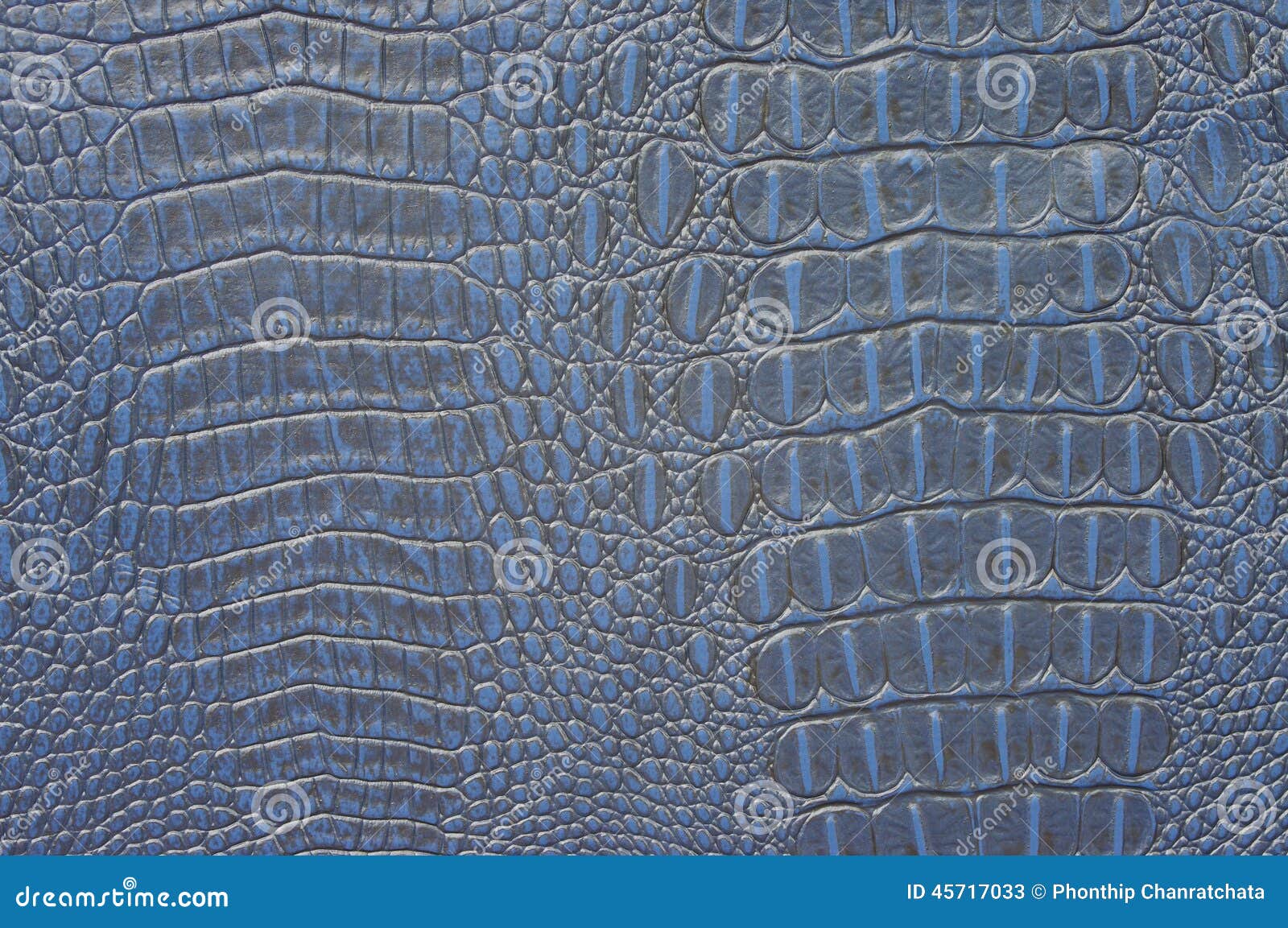 Blue Crocodile leather stock image. Image of blue, luxury - 45717033