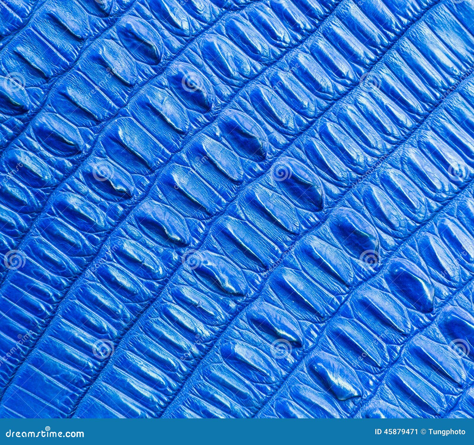 Blue Crocodile Skin Texture Stock Image - Image of alligator, pattern ...